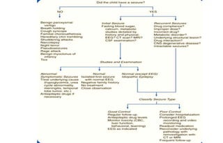 Child with convulsion | PPTX