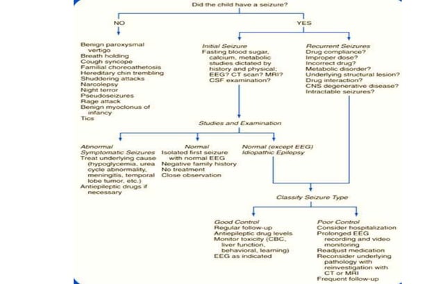 Child with convulsion | PPTX | Brain and Nervous System Disorders ...