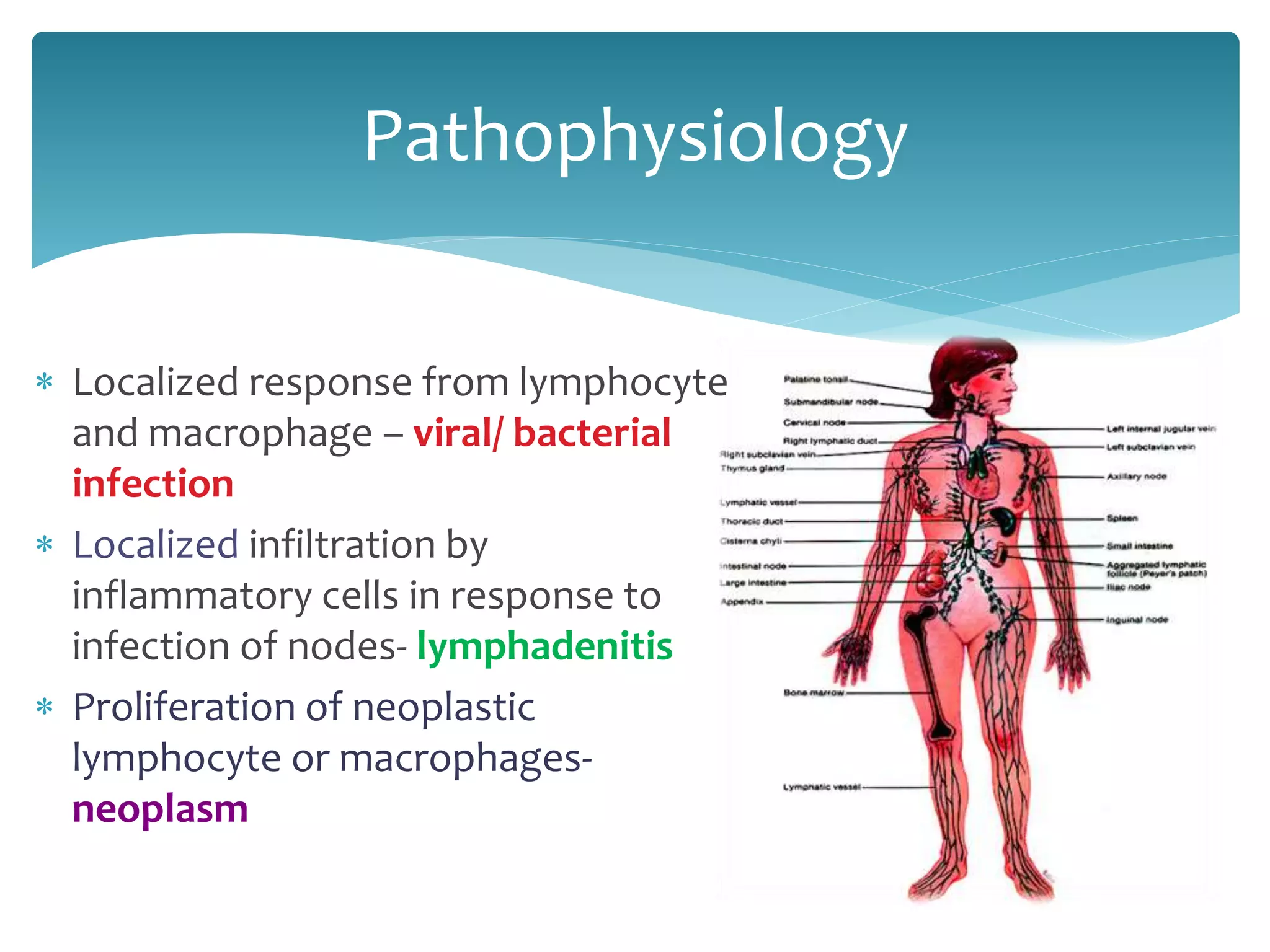 Child with lymphadenopathy | PPTX