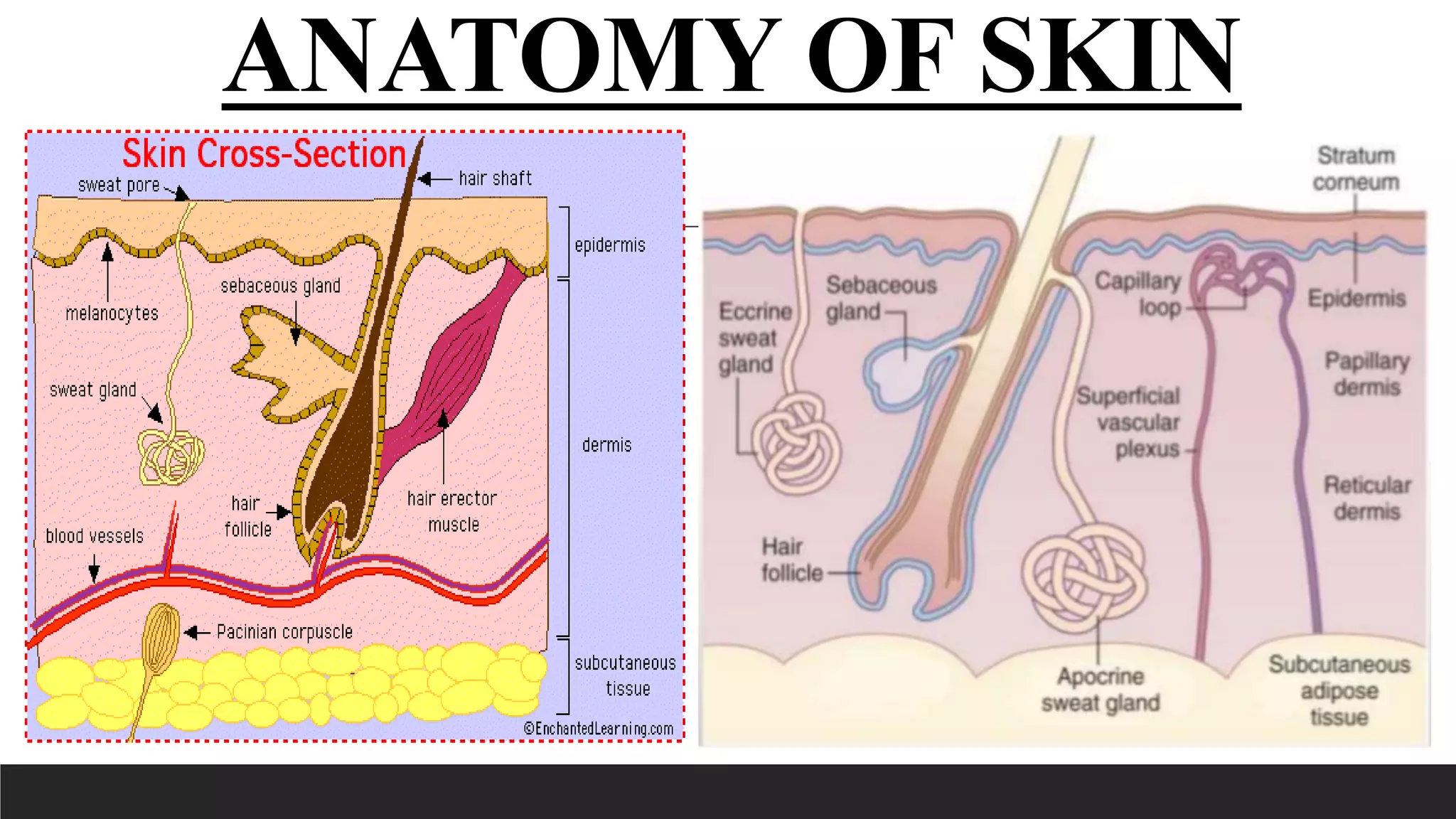 Child with skin disorder | PPTX