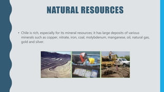 Chile | PPT