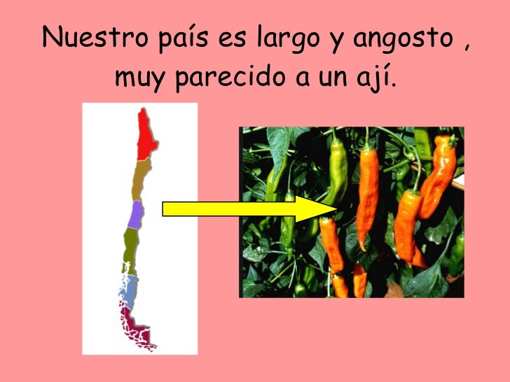 Vegetation map of Chile (1972) [525 × 1309] : r/MapPorn