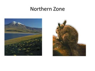 Chile and its zones | PPTX