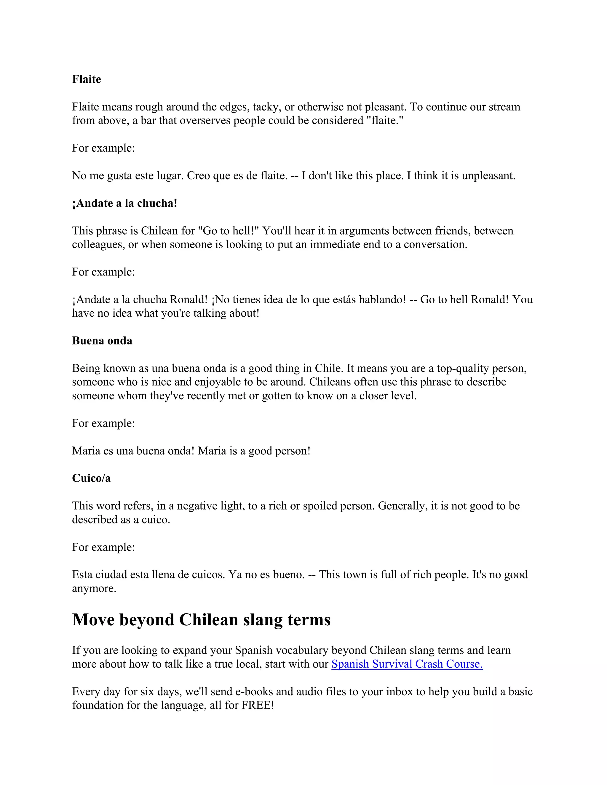 Chilean Slang Terms | PDF