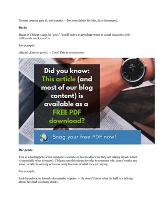 Chilean Slang Terms | PDF