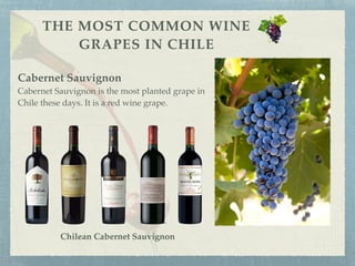 Chilean wine | PDF