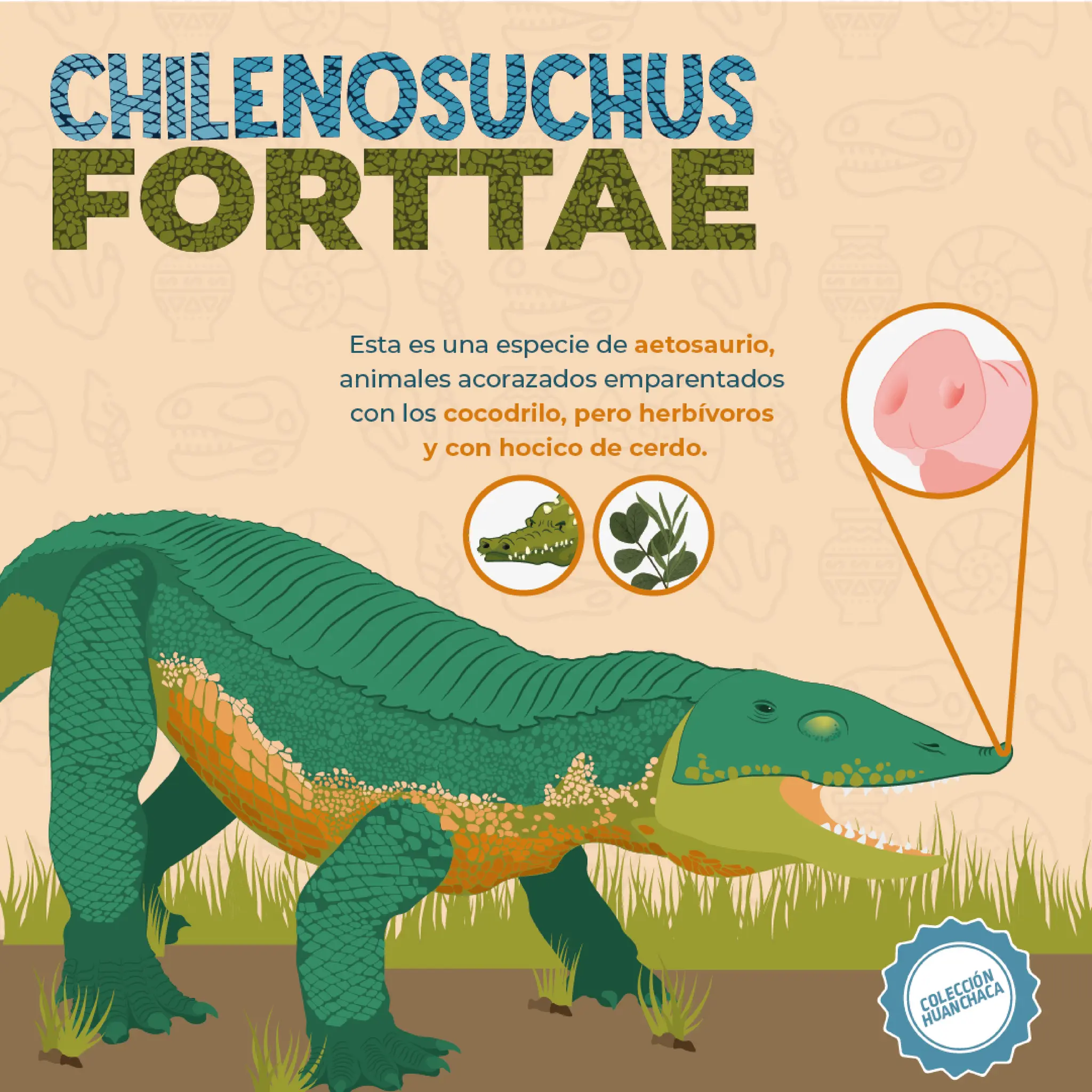Chilenosuchus forttae - Museo Ruinas de Huanchaca | PDF