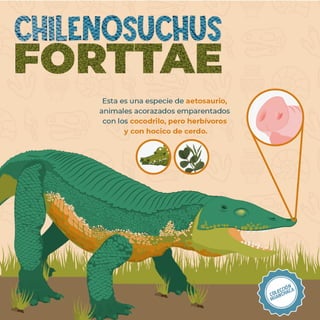 Chilenosuchus forttae - Museo Ruinas de Huanchaca | PDF | Reptiles | Pets