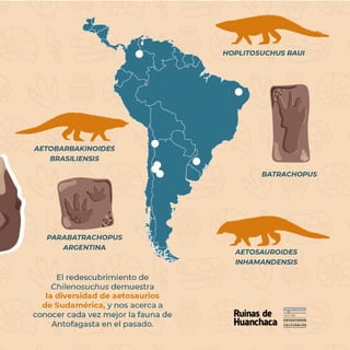 Chilenosuchus forttae - Museo Ruinas de Huanchaca | PDF