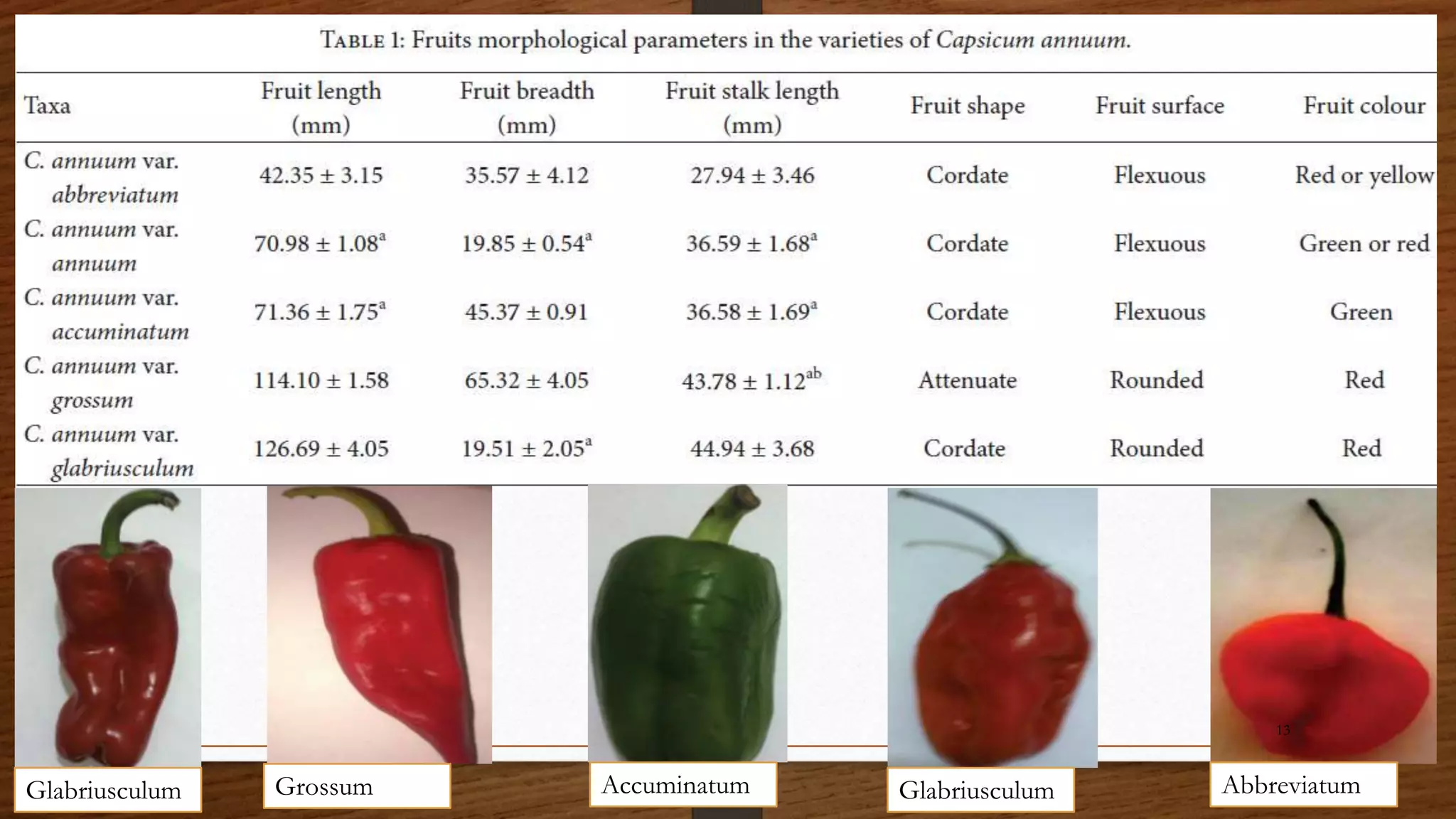Chili, peppers taxonomy origin evolution male sterility,chilli species classification, flower ...