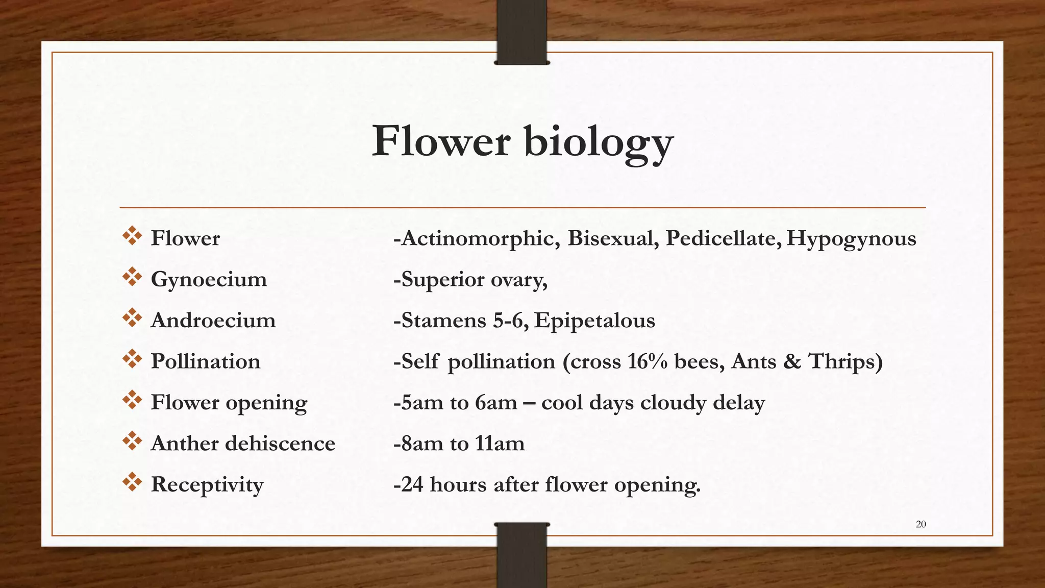 Chili, peppers taxonomy origin evolution male sterility,chilli species ...