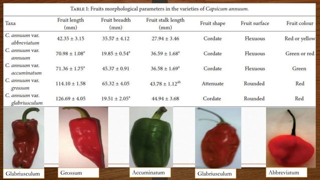 Chili, peppers taxonomy origin evolution male sterility,chilli species ...