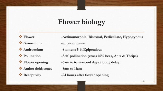 Chili, peppers taxonomy origin evolution male sterility,chilli species ...