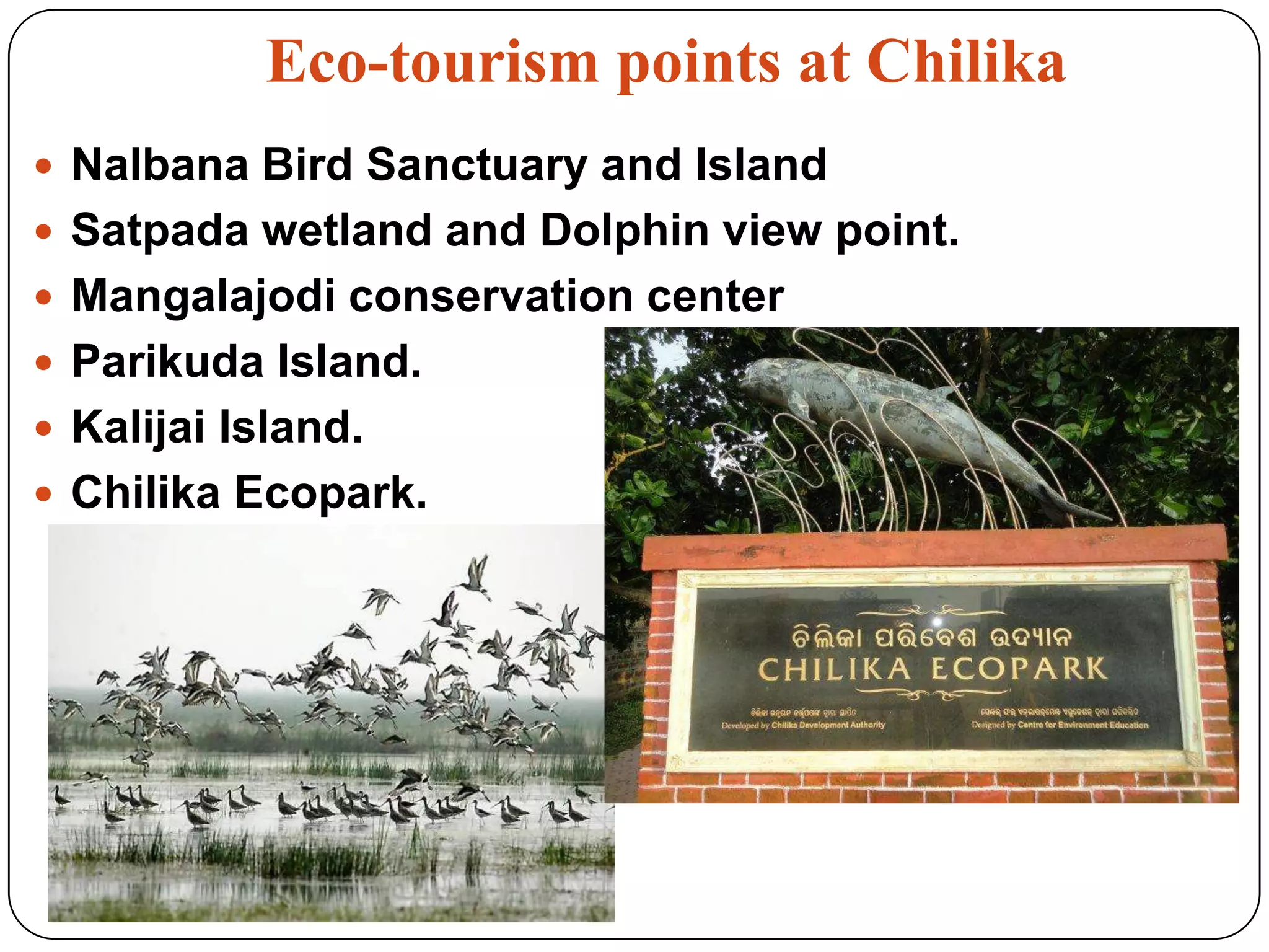 Chilika lake and ecotourism | PPTX