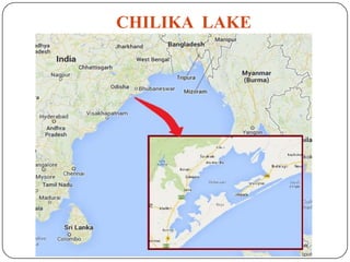 Chilika lake and ecotourism | PPTX