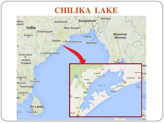 Chilika lake and ecotourism