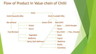 Chilli cultivation, trading process | PPTX