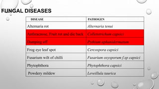 Integrated disease management of chilli | PPTX