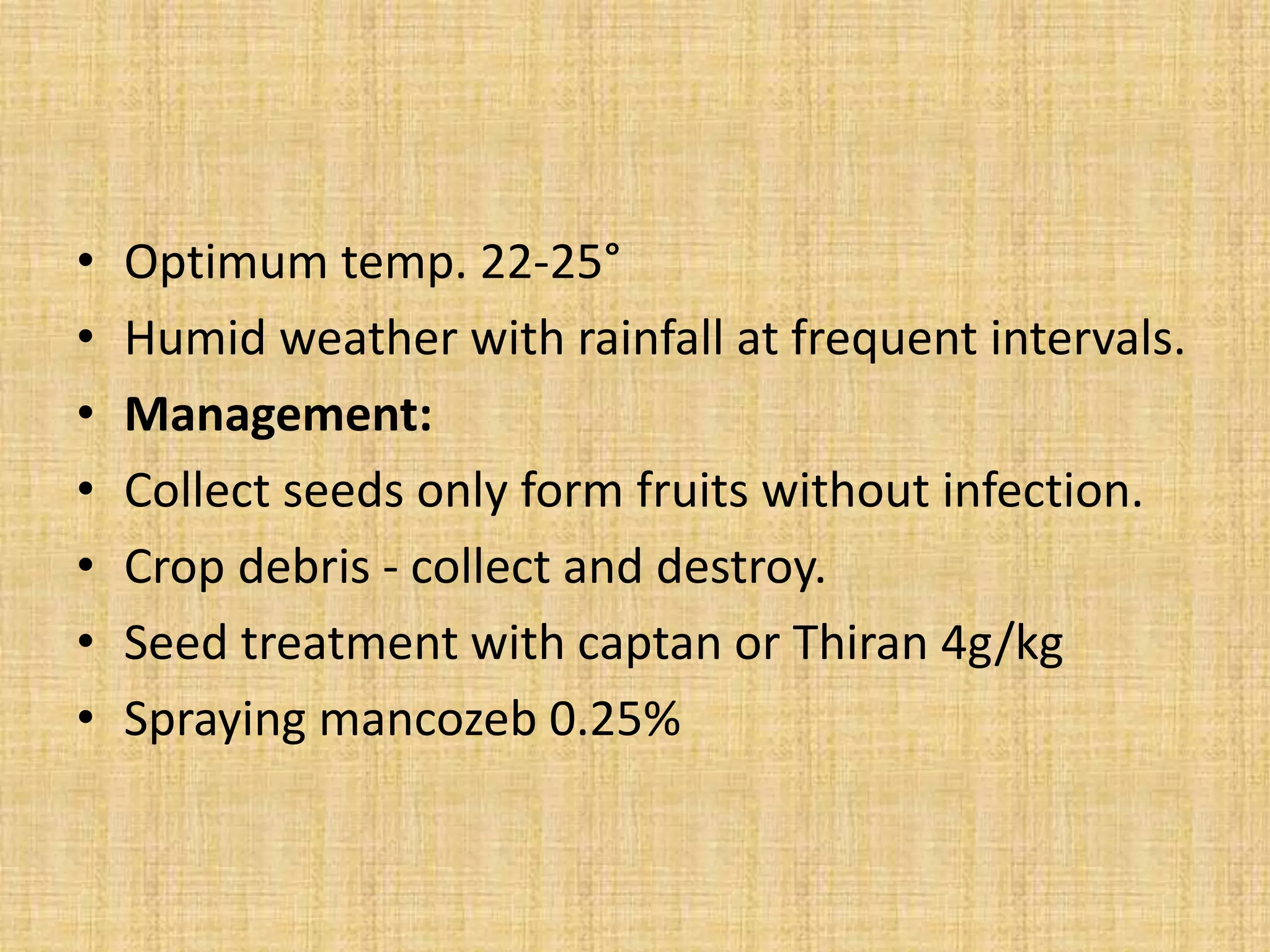 Diseases of Chilli | PPTX