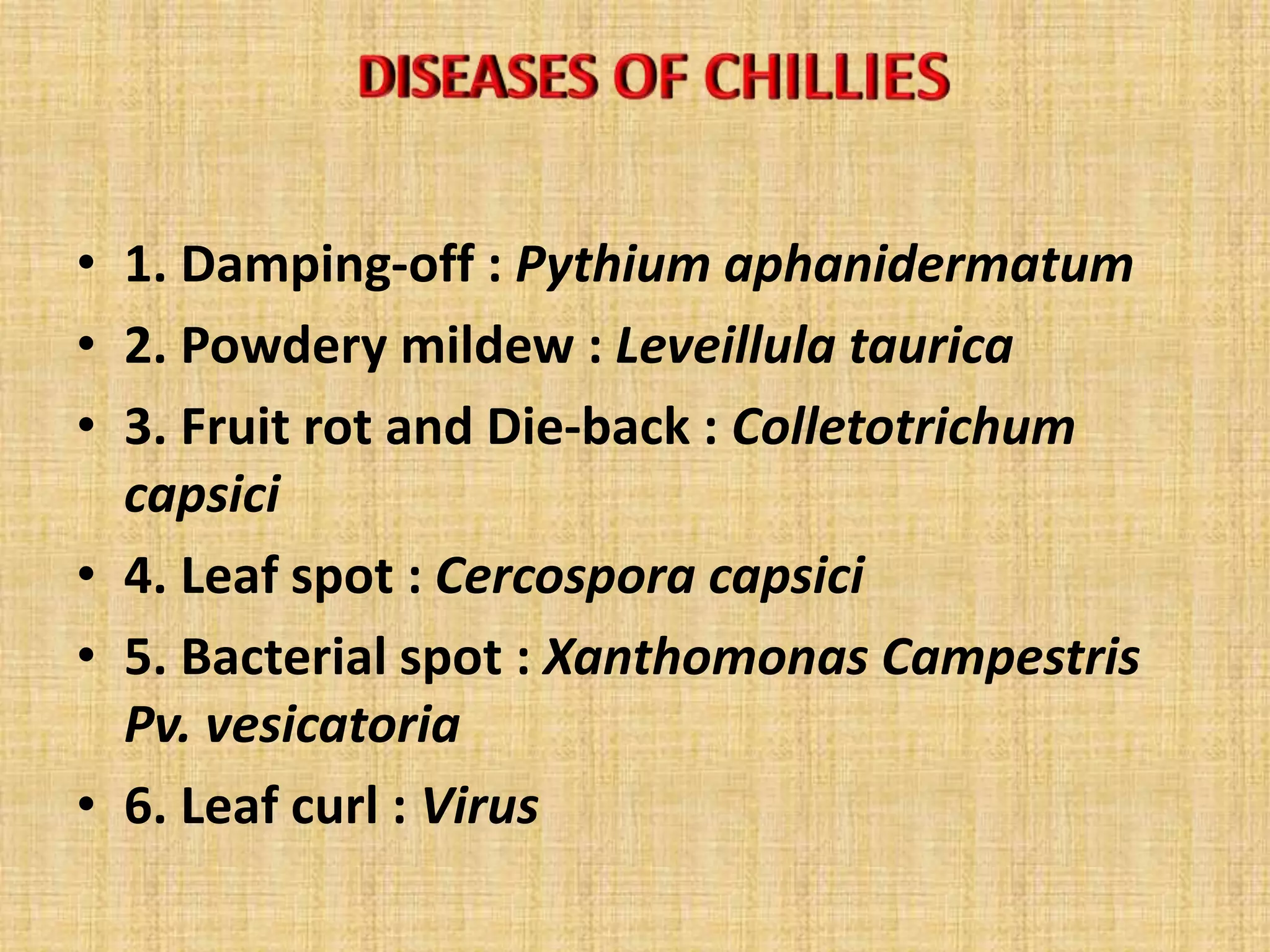 Diseases of Chilli | PPTX
