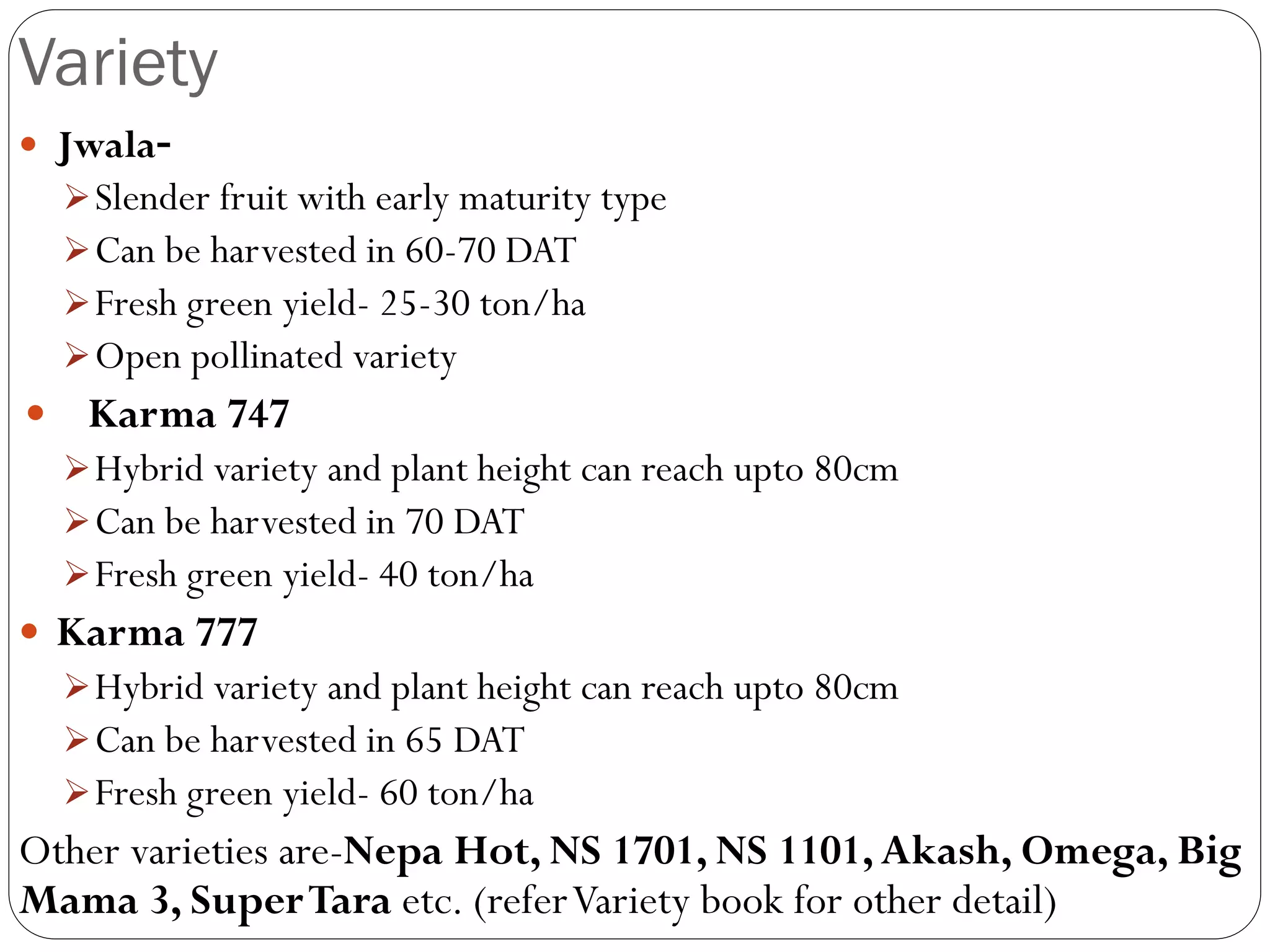 Chilli | PDF