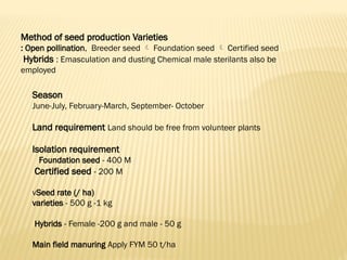 Production Technology of Green Chilli.pptx