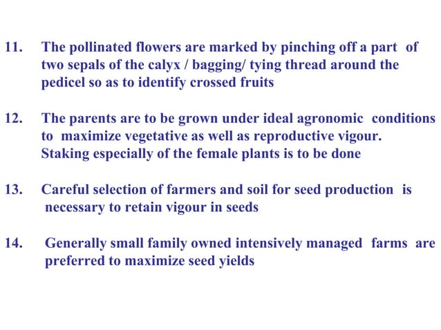 chilli-seedproduction.pptx