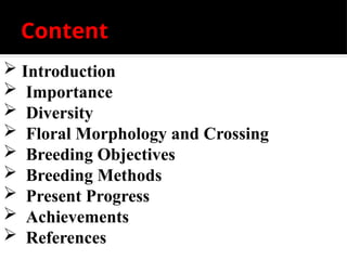 Presentation on Breeding aspects of Chilli .pptx