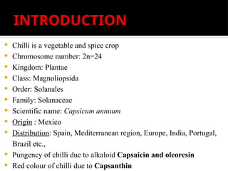 Presentation on Breeding aspects of Chilli .pptx