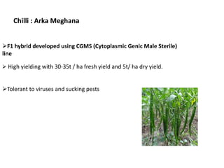 Chilli breeding | PPTX