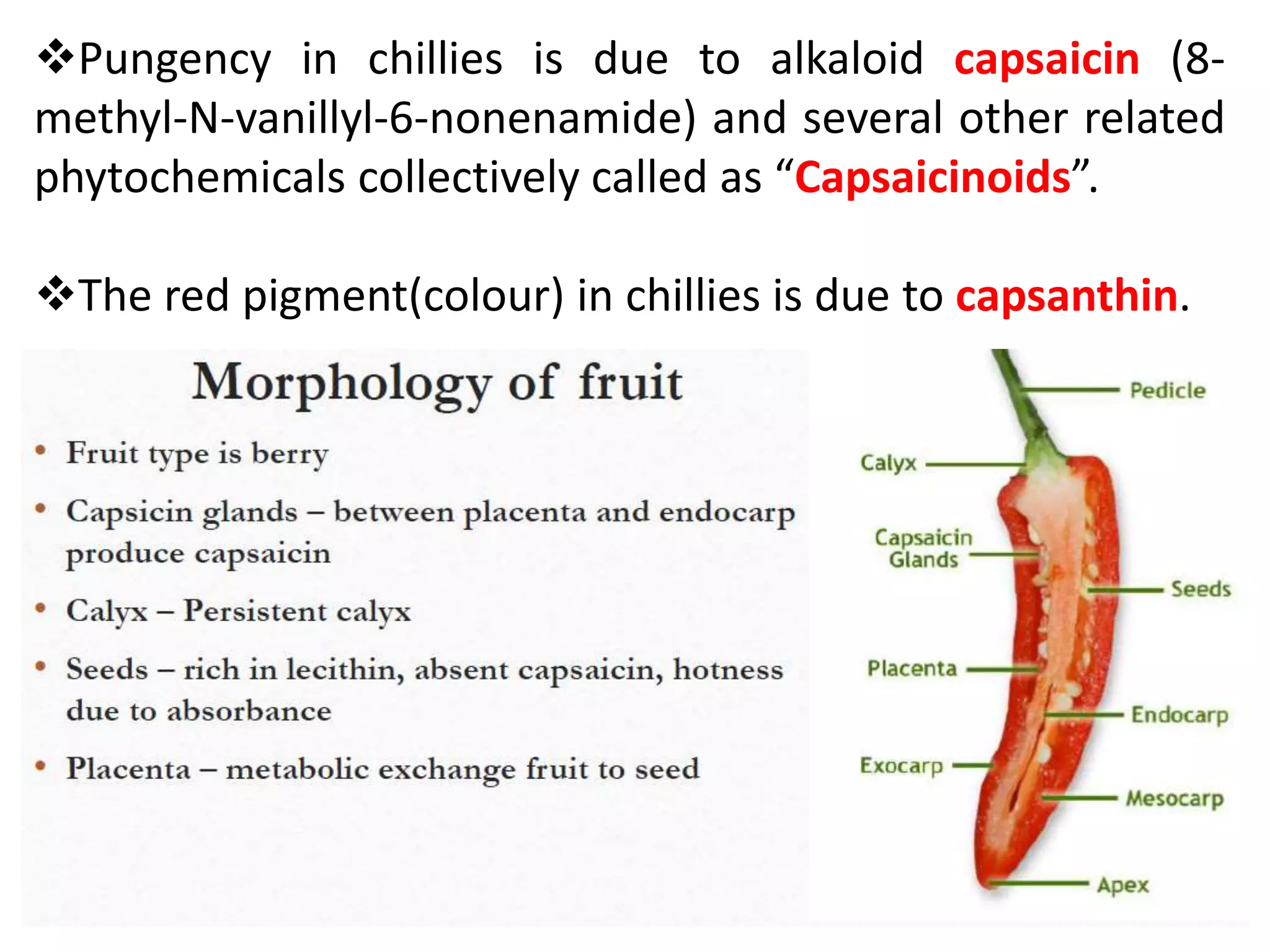 Chilli breeding | PPT