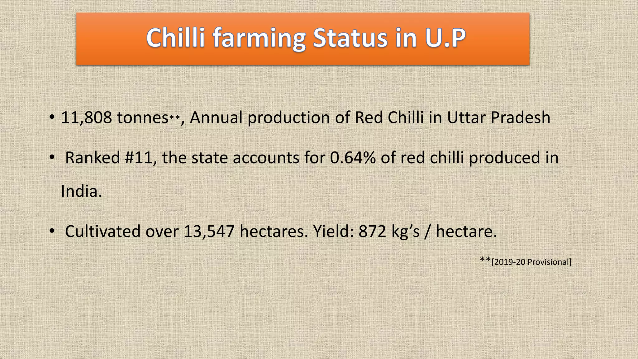 CHILLI Cultivation Practices and Improved Variety, biotic and abiotic ...