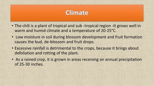 CHILLI Cultivation Practices and Improved Variety, biotic and abiotic ...