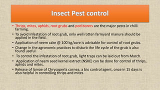 CHILLI Cultivation Practices and Improved Variety, biotic and abiotic ...