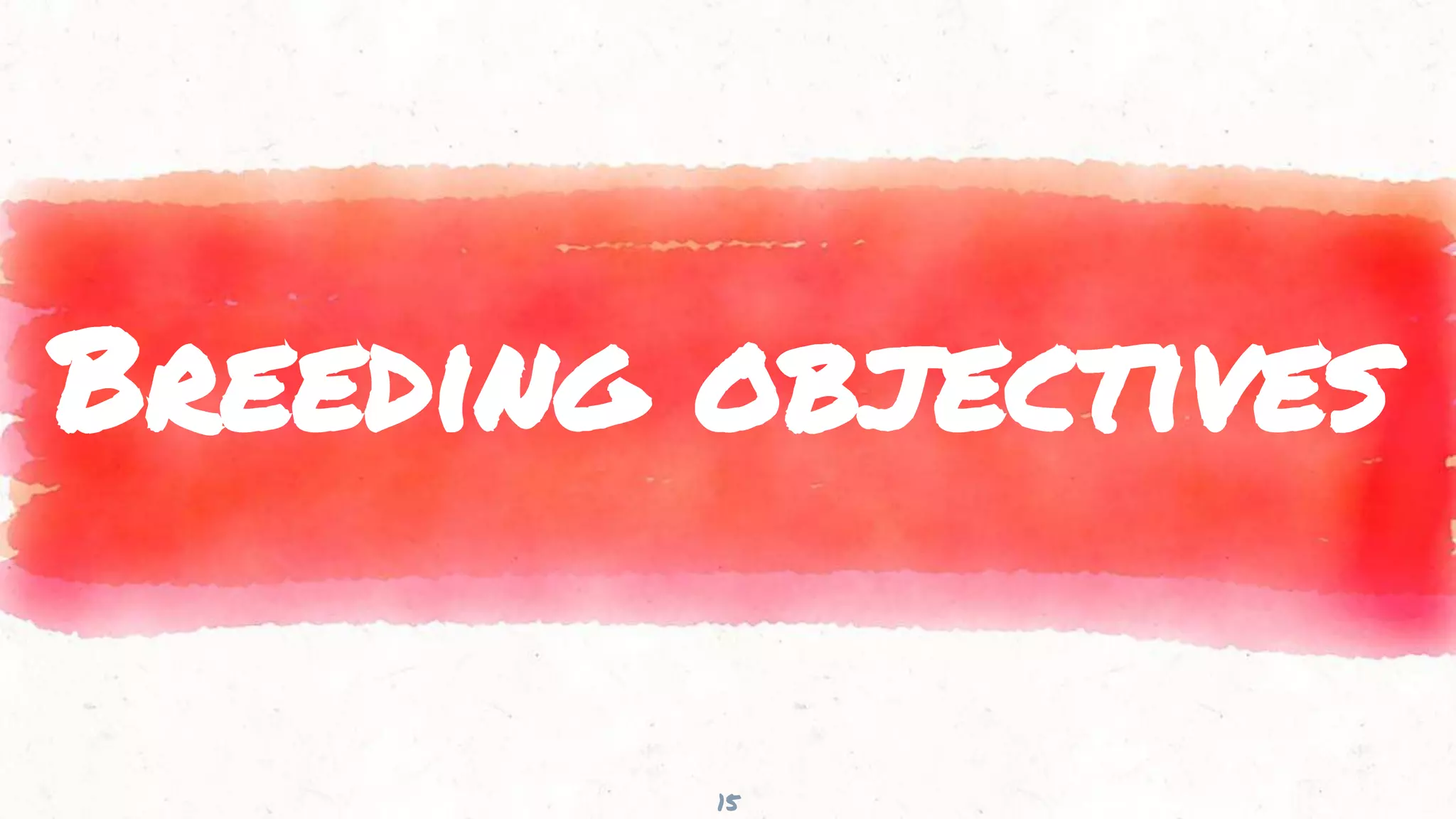 CHILLIES (GENETICS) FLORAL BIOLOGY,BREEDING PROCEDURE,OBJECTIVES | PPTX