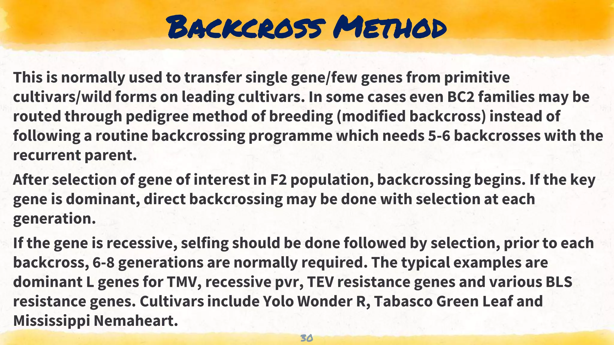 CHILLIES (GENETICS) FLORAL BIOLOGY,BREEDING PROCEDURE,OBJECTIVES | PPTX