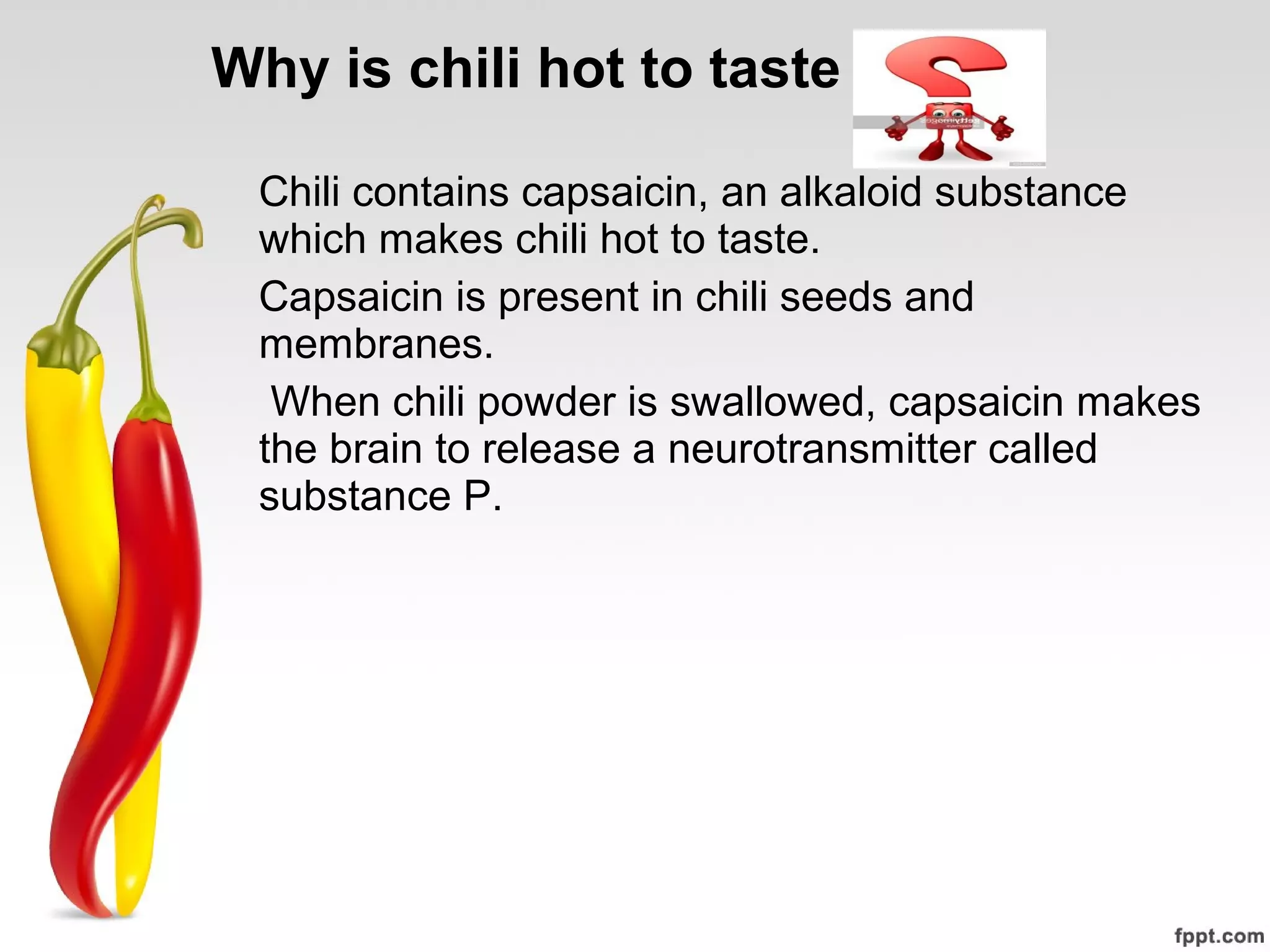 RED CHILLY PROCESSING | PPT