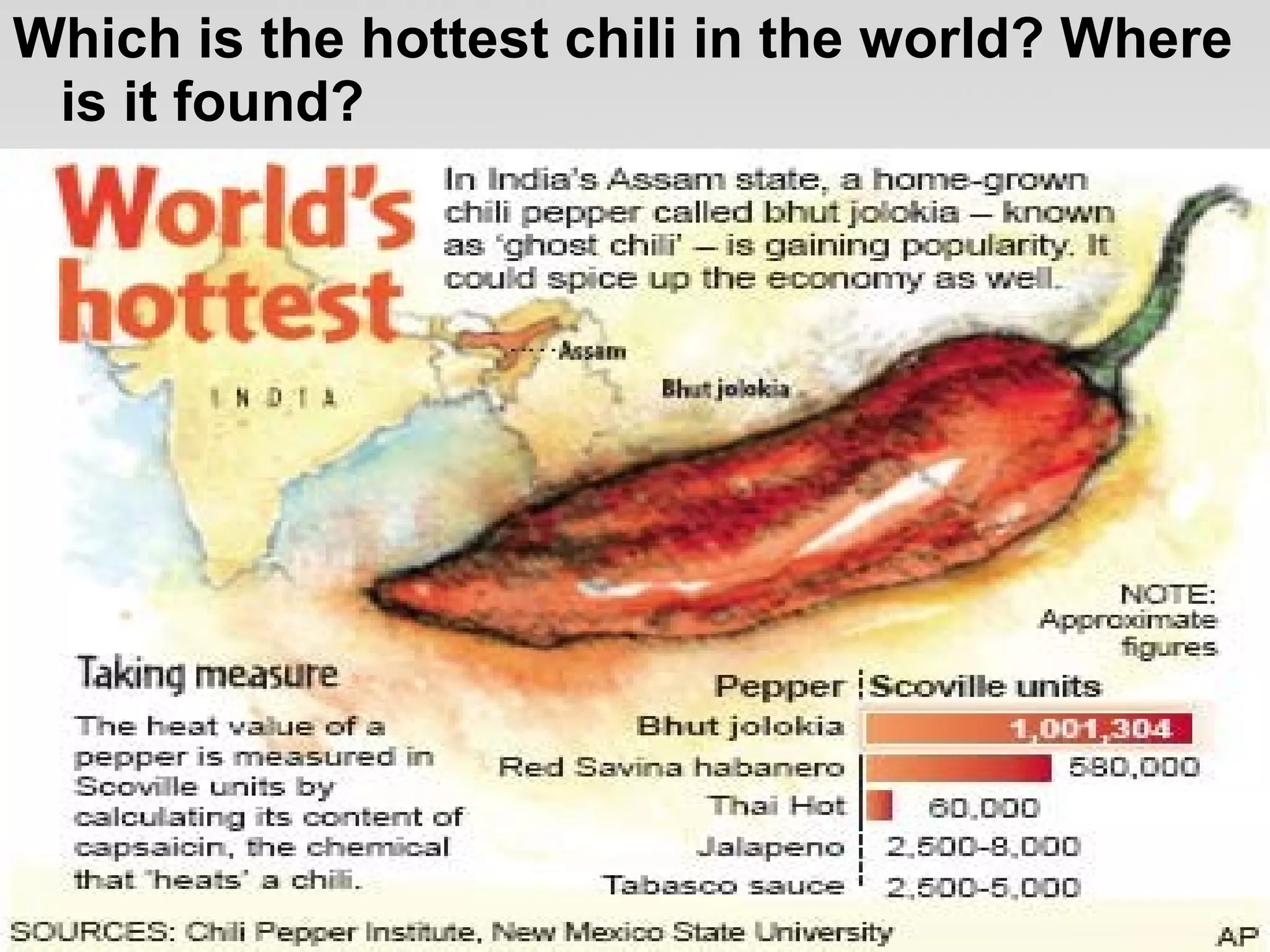 RED CHILLY PROCESSING | PPT