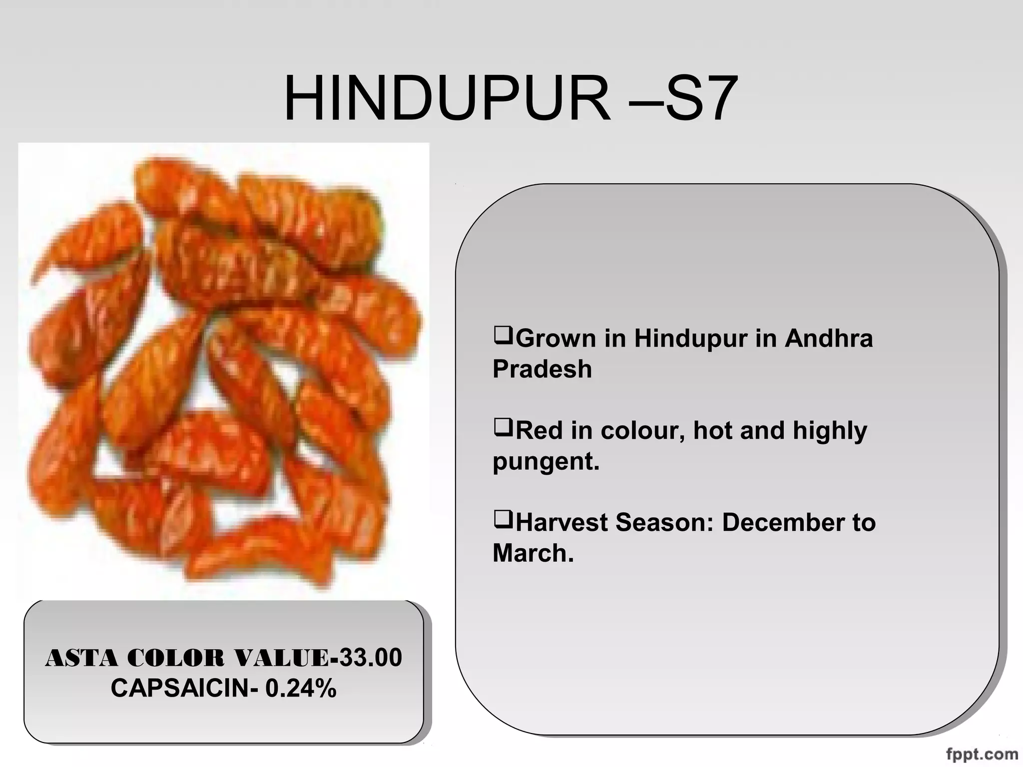 RED CHILLY PROCESSING | PPT | Gardening | Home & Garden