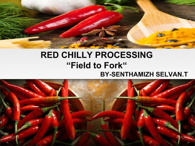 RED CHILLY PROCESSING | PPT | Gardening | Home & Garden