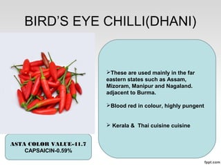 RED CHILLY PROCESSING | PPT