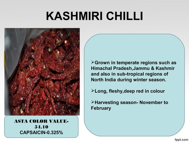 RED CHILLY PROCESSING | PPT | Gardening | Home & Garden