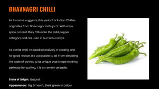 Hottest chillies to try in India | PPT