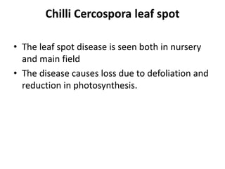 Chilli leaf spots | PPTX