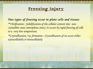 Chilling & freezing stress in crops | PPT