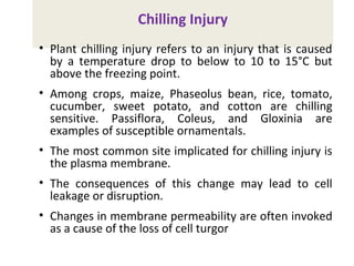 Cold stress in plants | PPT