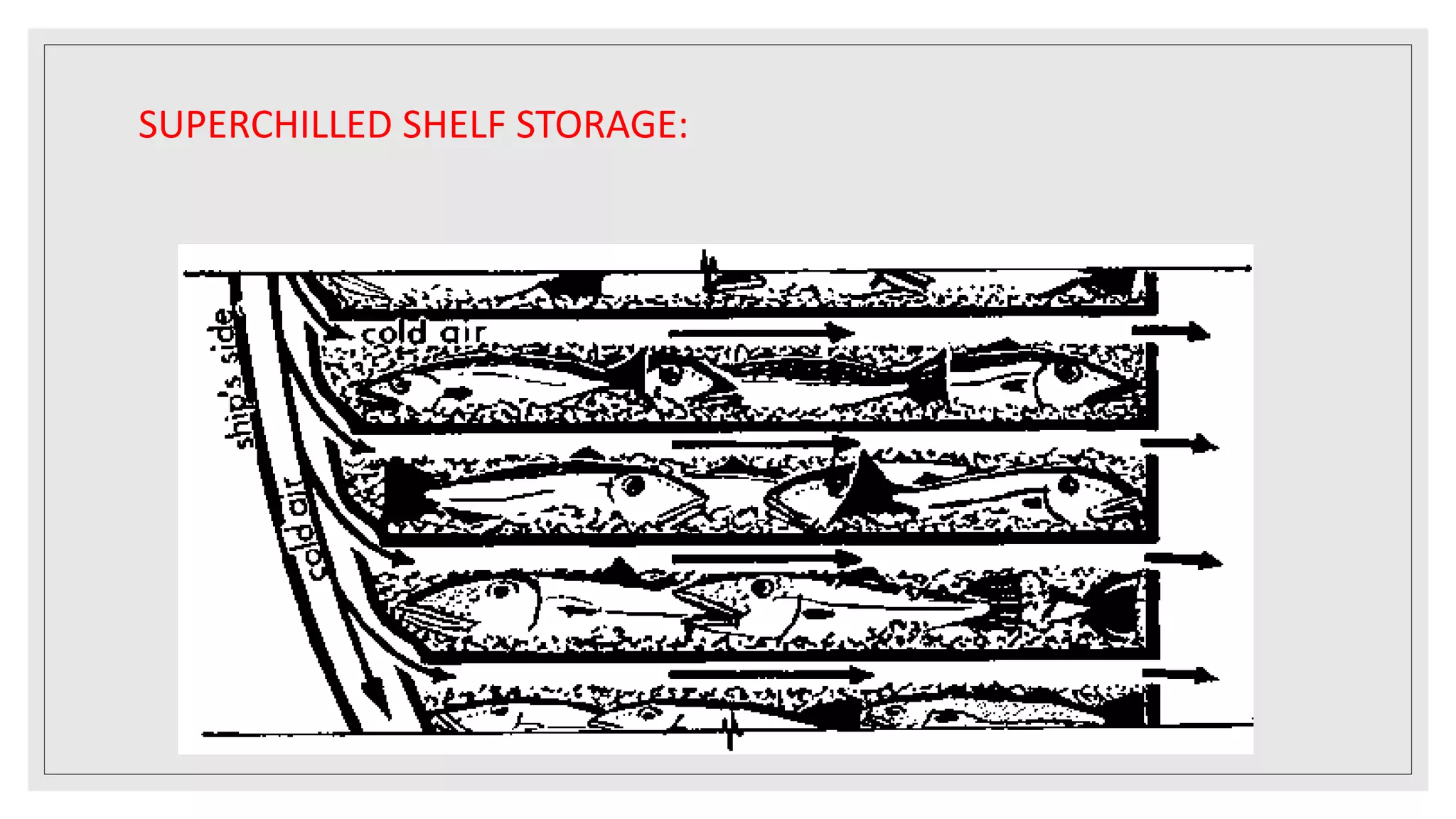 Chilling of fish.pptx