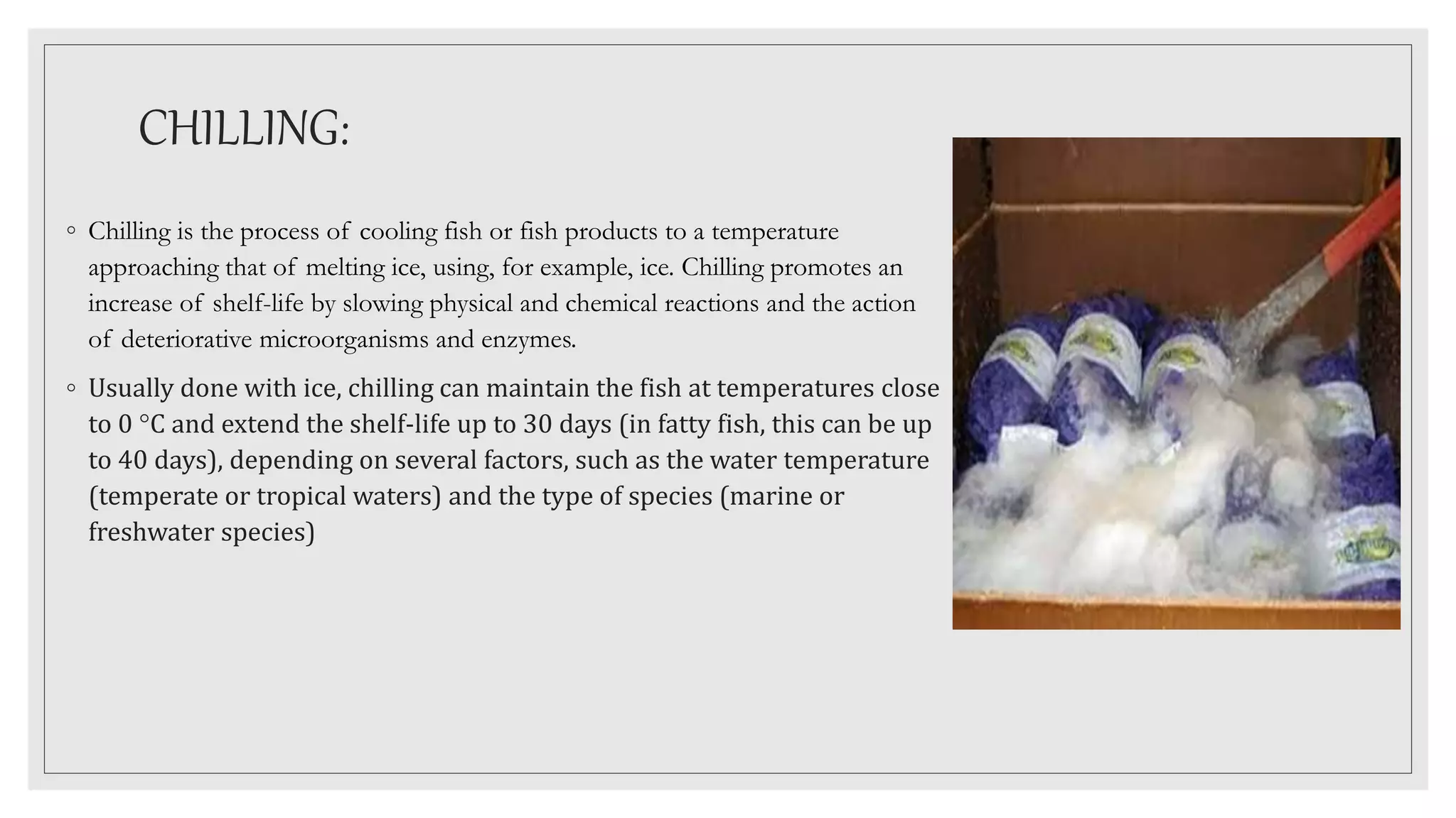 Chilling of fish.pptx