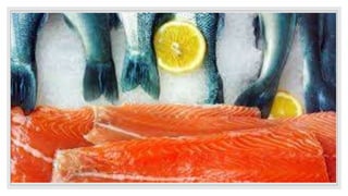 Chilling of fish.pptx