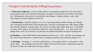 Chilling of fish.pptx
